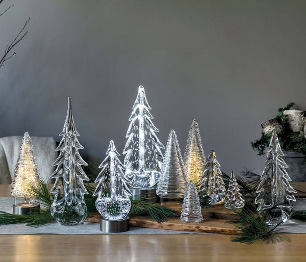 Five Sided Evergreen in Gift Box - RFD