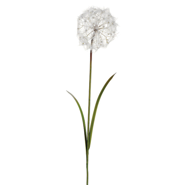 Dandelion Cream - RFD